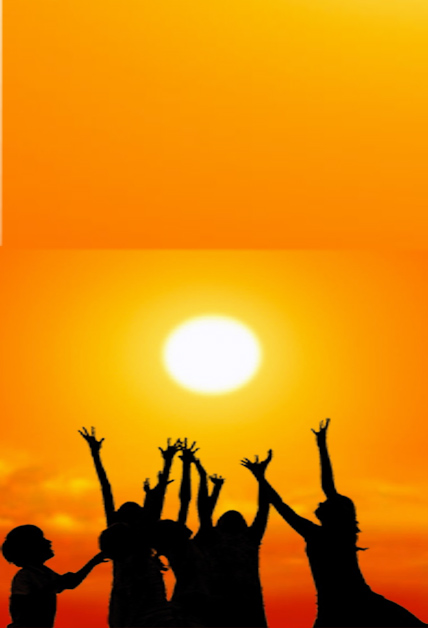 Panthera Technology Solutions - Complete Business Solutions Enabler